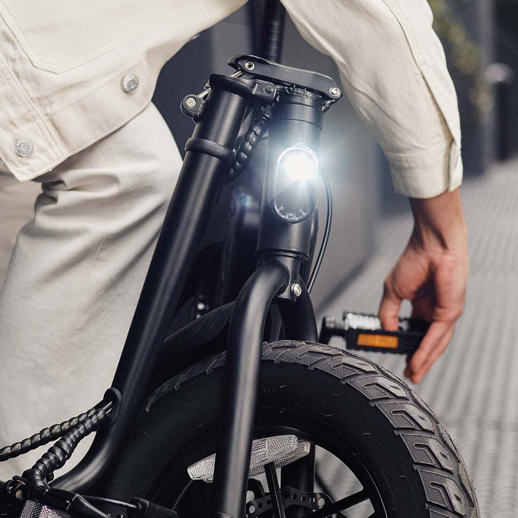 Atlas Fat Tire Electric Bike